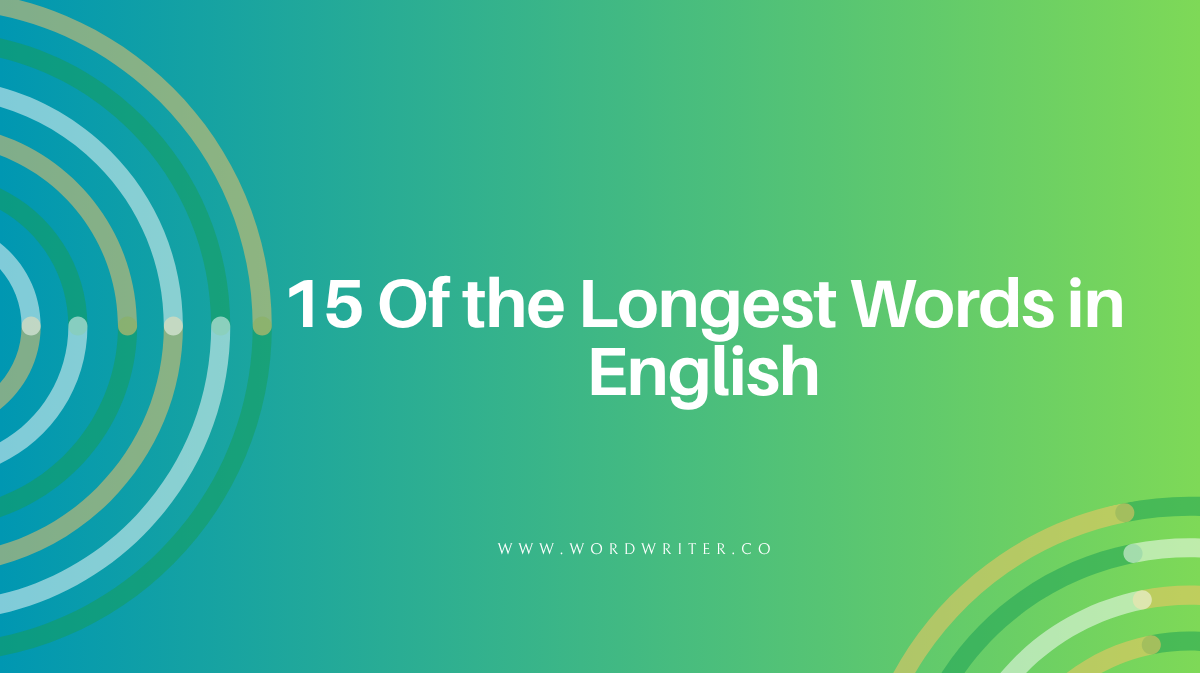 15 des mots les plus longs en anglais | Wordwriter AI